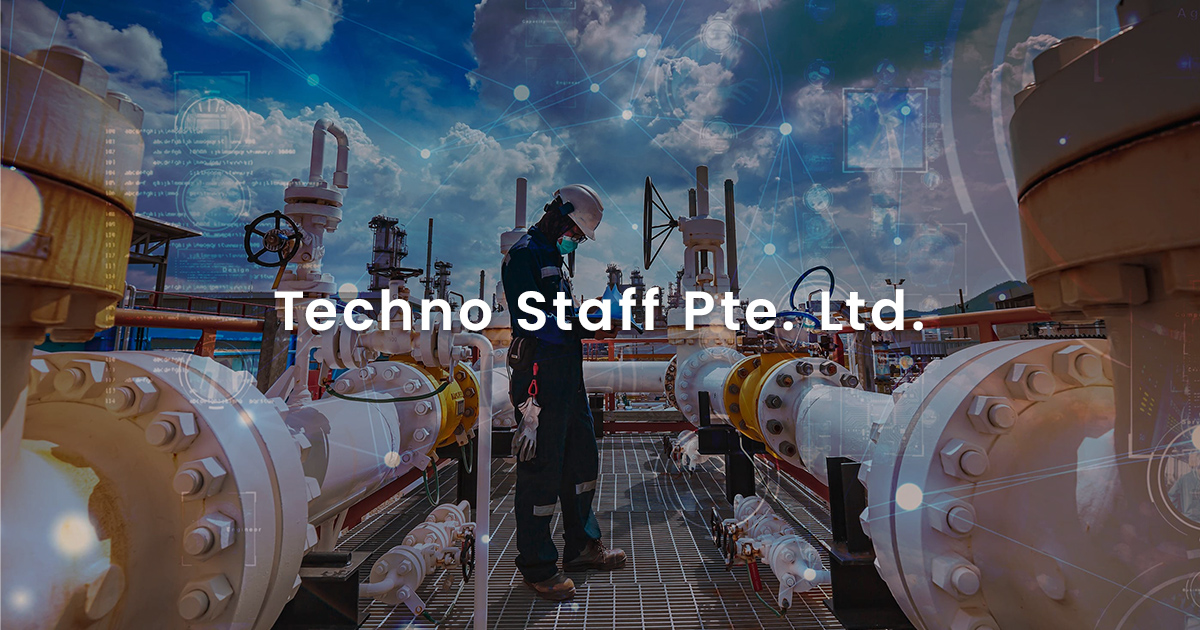 Plant Diagnosis, Plant Maintenance, Visual Inspection, NDI | Techno Staff